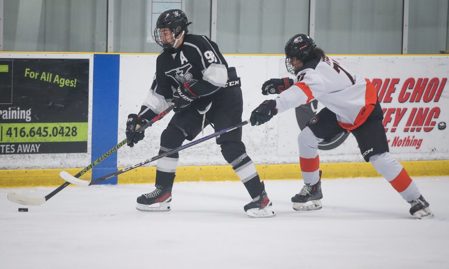 Home - Thunder Bay Kings Hockey